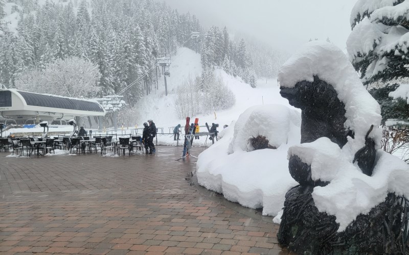 Sun Valley Offers Future of Sun Valley Website