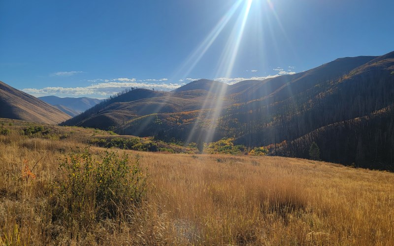 Learn About Wildfire Risk, Prevention and Fighting in the Sawtooth Valley