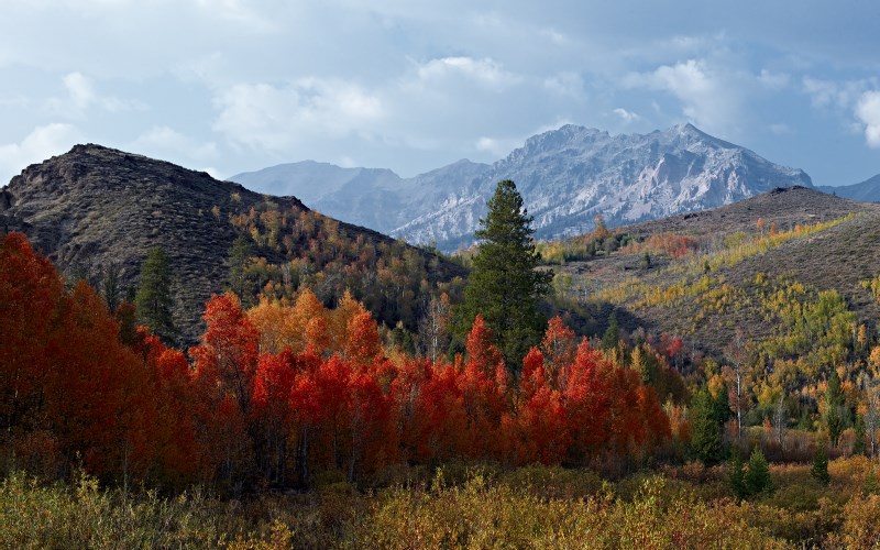 MESH Gallery Celebrates Year Ten with Solstice Eve Exhibition