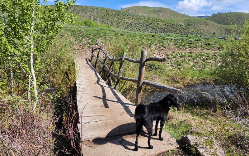 Bridge Removal on Trail Forces Swift Water Crossing