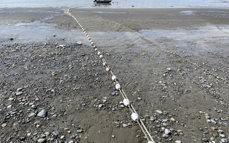 Setting Nets for Salmon in Naknek, Alaska