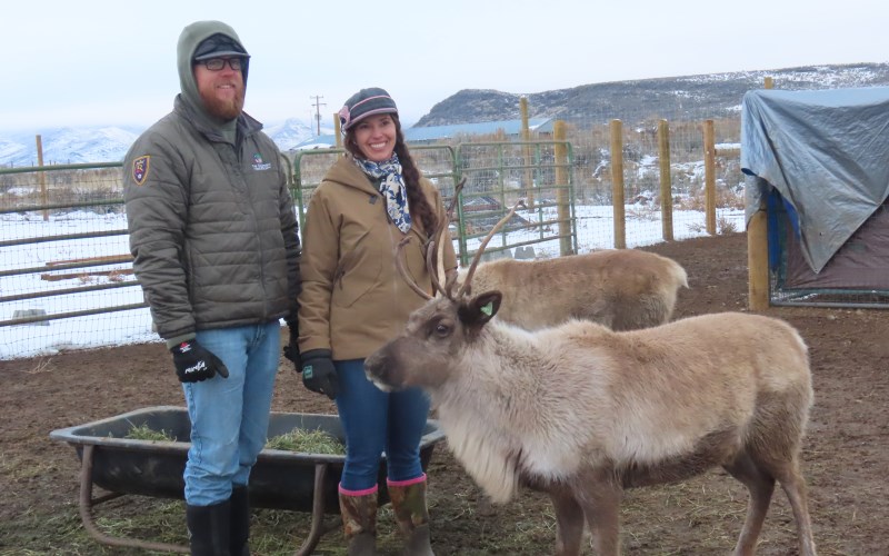 Dasher and Dancer Give Way to Diamond and Twinkles