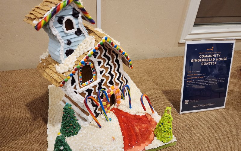 Harry Pawter House and a Magic Treehouse Show Off Creativity of ...