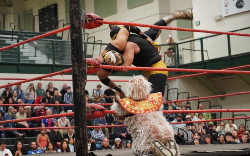Lucha Libre Excites Hailey Crowd