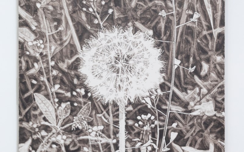 OCHI Gallery Holds Reception for Meticulous Mark Meister