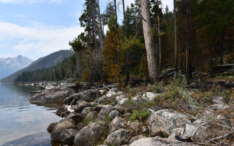 Redfish Lake Lodge to Reopen on Sunday