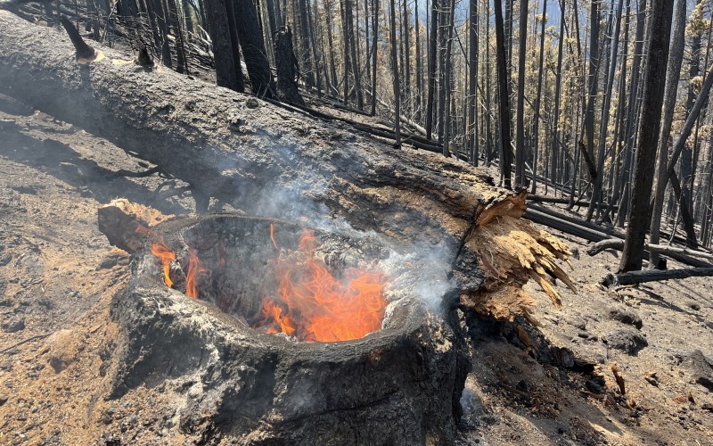 Bench Lake Firefighting Team Hands Fire Off to a Nevada Team