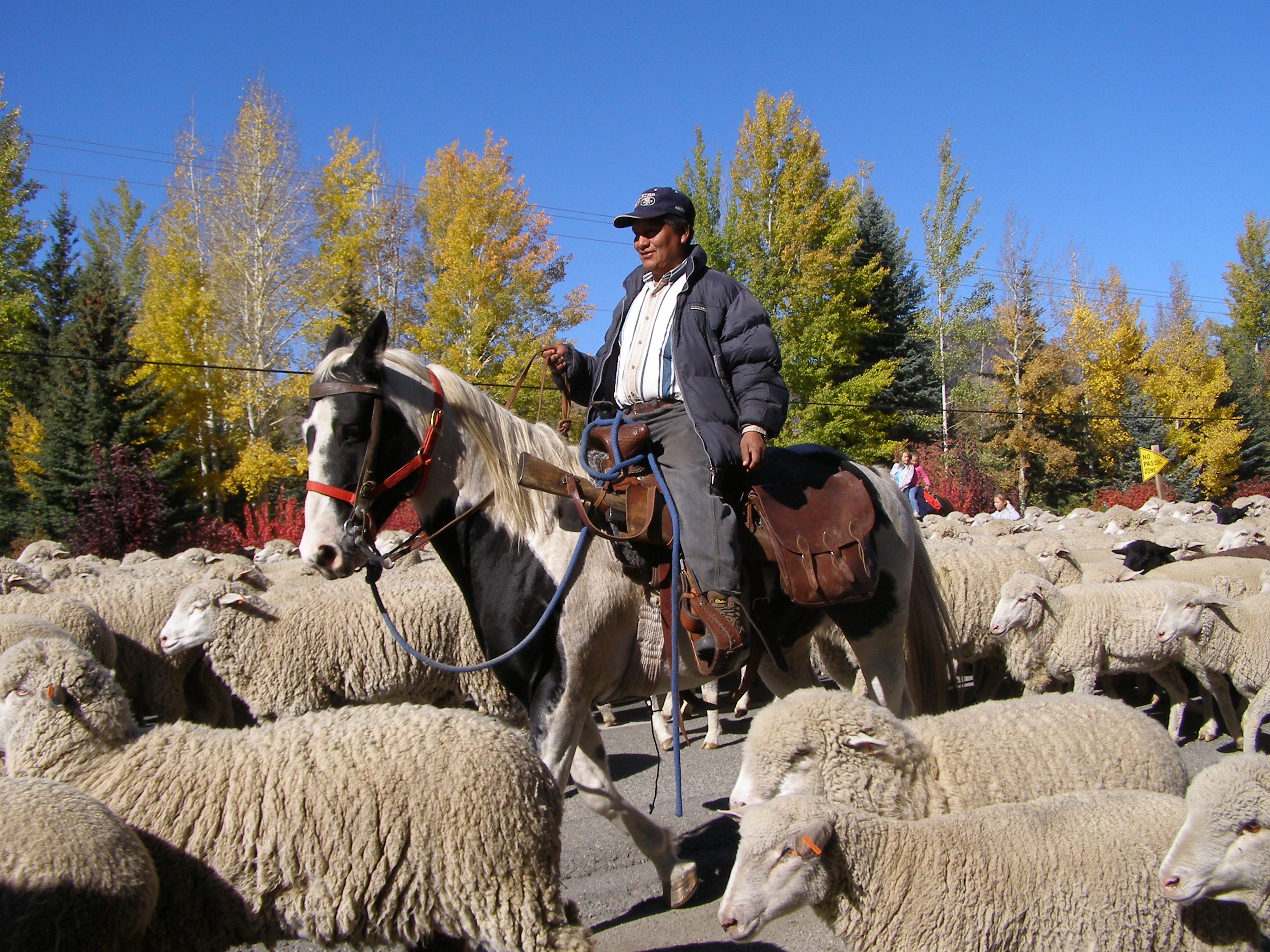 Trailing of the Sheep Festival Needs Your Vote to Be Named Top Fall ...