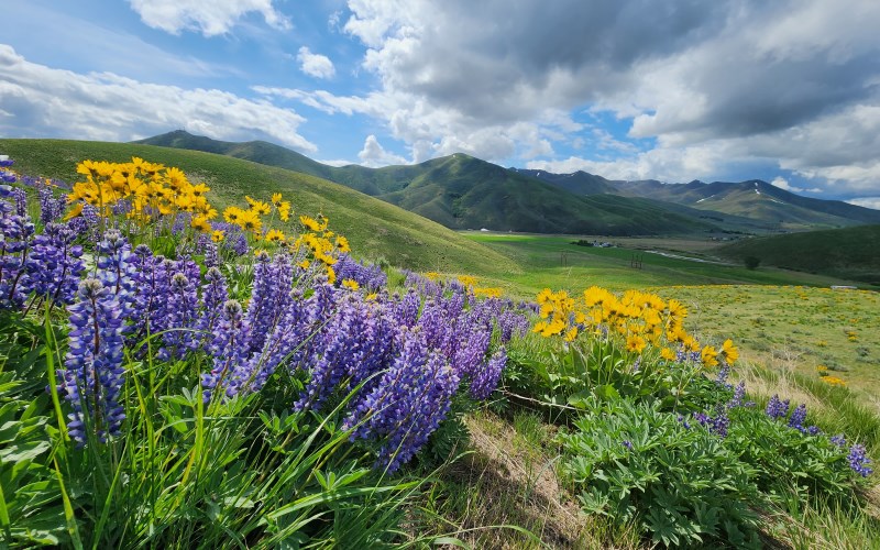 Wood River Land Trusts Launches Campaign to Preserve Hailey Hot Springs ...