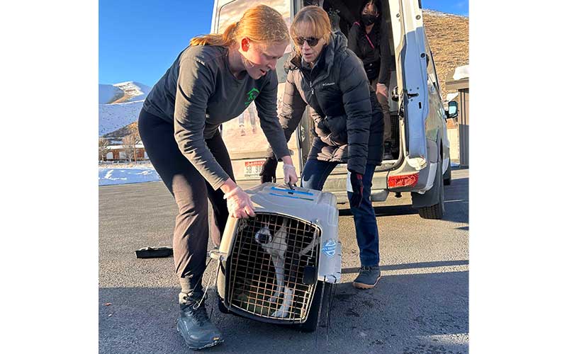 California Refugees End Up in Wood River Valley