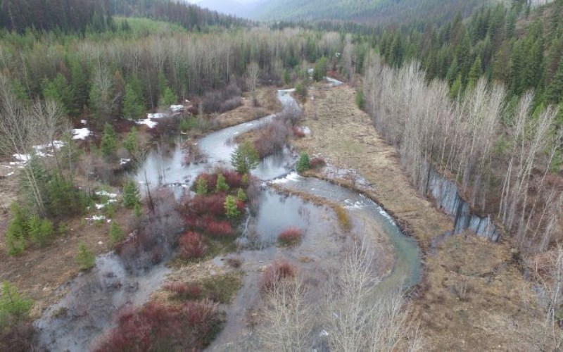 Trout Unlimited Expert to Discuss Stream Restoration