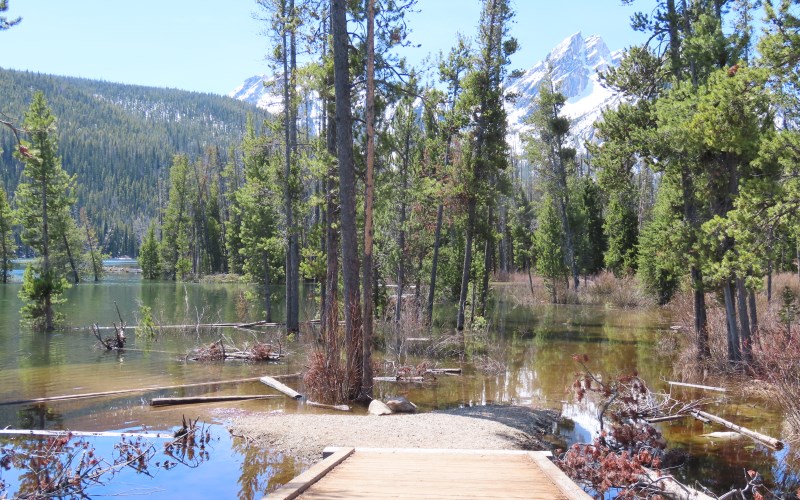 Scientists Wonder if Stanley’s Sleeping Giant is Awakening