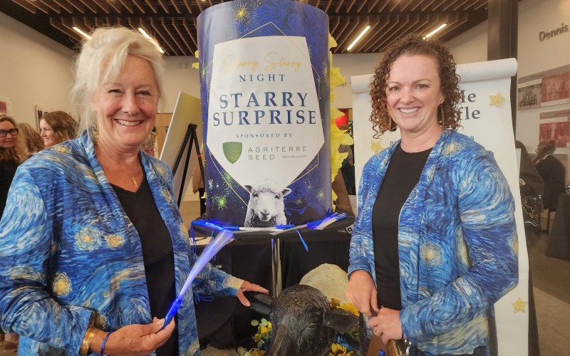 Trailing of the Sheep to Host a Starry Starry Night in the Wild West