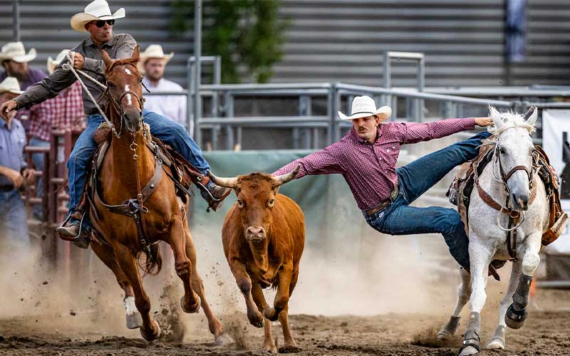 Pictures from a Rodeo