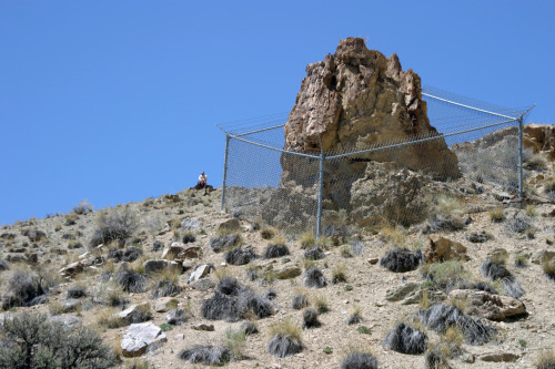 Petrified Forest Outing to be Held Saturday